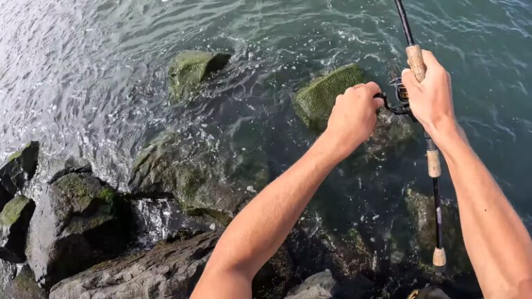 Best Fishing Spots in Brigantine - A Local’s Guide - BB NJ